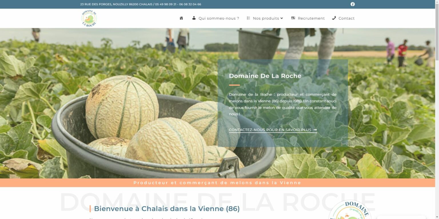 Producteur de melons Domaine de la Roche à Chalais - Visuellement